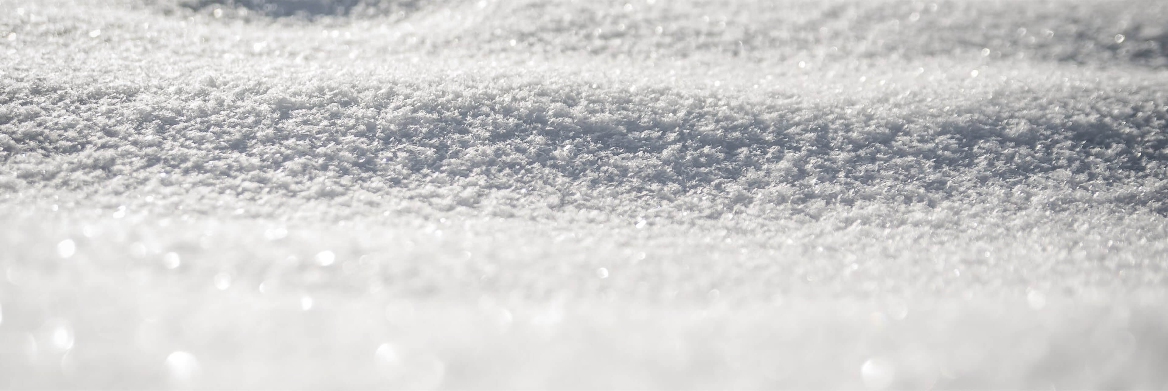 Mentos Fruit Fusions Roll - Limited Edition | Mentos Malaysia